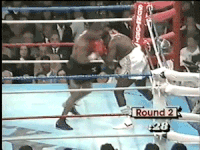Tyson GIFs - Get the best gif on GIFER