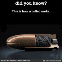 Bullet GIFs - Get the best gif on GIFER
