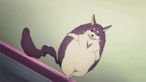 Kyoani GIFs - Get the best gif on GIFER