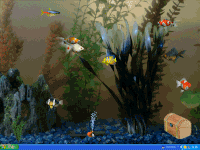Le poisson GIFs - Obtenez le meilleur gif sur GIFER