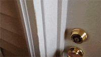 Thang GIFs - Get the best gif on GIFER