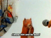 Pavement GIFs - Get the best gif on GIFER