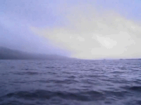 Electrode GIFs - Get the best gif on GIFER