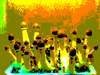 Tripping GIFs - Get the best gif on GIFER
