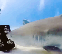 Cartesian GIFs - Get the best gif on GIFER