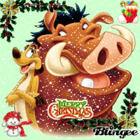 Timon GIFs - Get the best gif on GIFER