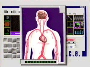 Human heart GIF - Conseguir el mejor gif en GIFER