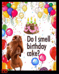 Sent GIFs - Get the best gif on GIFER