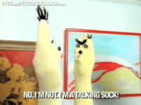 Sock puppet GIFs - Get the best gif on GIFER