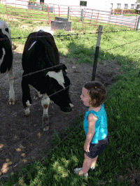 Licorice GIFs - Get the best gif on GIFER