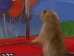 Dramatic hamster GIF - Conseguir el mejor gif en GIFER