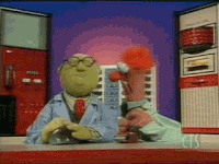 Beaker GIFs - Get the best gif on GIFER