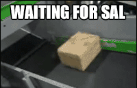 Sal GIFs - Get the best gif on GIFER