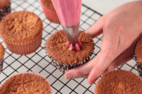 Bolo GIFs - Get the best gif on GIFER