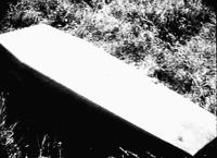Coffin GIFs - Get the best gif on GIFER