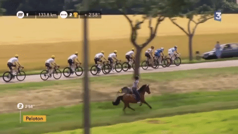 Tourdefrance GIF - Conseguir o melhor gif em GIFER