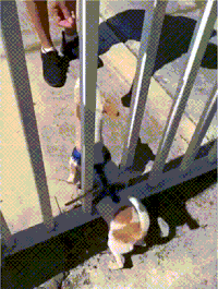 Methods GIFs - Get the best gif on GIFER