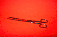 Scissor GIFs - Get the best gif on GIFER