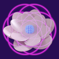 Capture GIFs - Get the best gif on GIFER