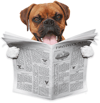 Newspaper GIFs - Get the best gif on GIFER