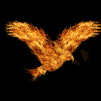 Volar GIFs - Get the best gif on GIFER