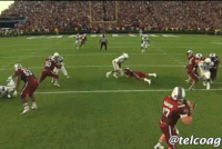 Undefeated GIFs - Get the best gif on GIFER