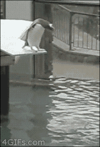 Nervous GIFs - Get the best gif on GIFER