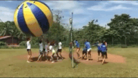 Волейбол GIFs - Get the best gif on GIFER
