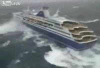 Cruise GIFs - Get the best gif on GIFER