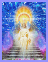 Ego GIFs - Get the best gif on GIFER