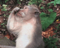 Picking your nose GIFs - Get the best gif on GIFER