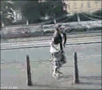 Impale GIFs - Get the best gif on GIFER