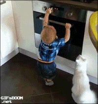Until GIFs - Get the best gif on GIFER
