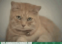 Solitude GIFs - Obtenez le meilleur gif sur GIFER