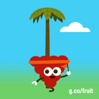 Raspberries GIFs - Get the best gif on GIFER
