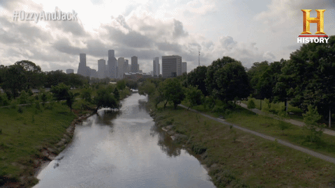 World detour GIF - Conseguir el mejor gif en GIFER