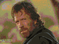 Licenses GIFs - Get the best gif on GIFER