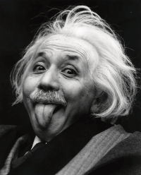 Einstein GIFs - Get the best gif on GIFER