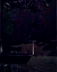 Tomb GIFs - Get the best gif on GIFER