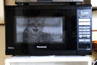 Microwaves GIFs - Get the best gif on GIFER