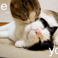 Cuidado GIFs - Get the best gif on GIFER