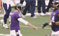 Baltimore ravens GIFs - Obtenez le meilleur gif sur GIFER
