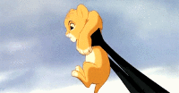 Simba GIFs - Get the best gif on GIFER