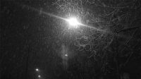 Snowfall GIFs - Get the best gif on GIFER