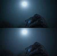 Ironico GIFs - Get the best gif on GIFER