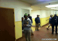 Barstool GIFs - Get the best gif on GIFER