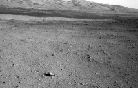 Curiosity GIFs - Get the best gif on GIFER