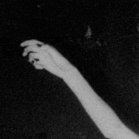 Cropped GIFs - Get the best gif on GIFER