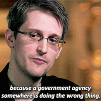 Id GIFs - Get the best gif on GIFER