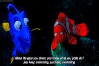 Dur GIFs - Get the best gif on GIFER